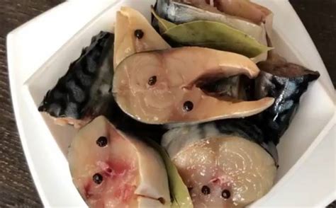 Малосольная скумбрия пряного посола рецепт с фото пошагово