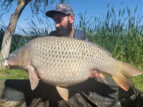 Photo Gallery - Dudi Bait