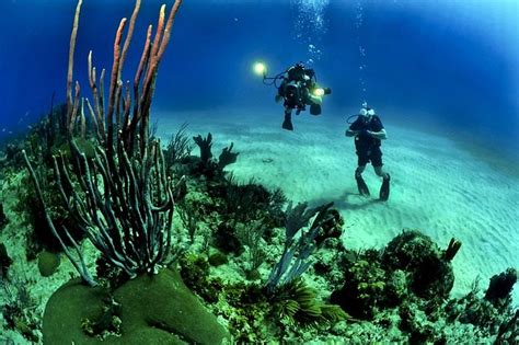 Tauchen - Tobago-Live - Das Tobago-Magazin mit Reiseführer