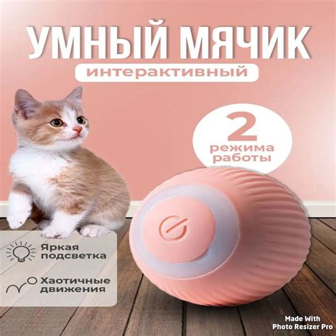 Интерактивная игрушка для кошек и собак - купить с доставкой по ...
