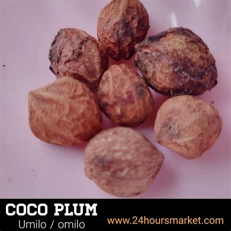 COCO PLUM umilo 200g+ • 24 Hours Market | Lagos, Nigeria