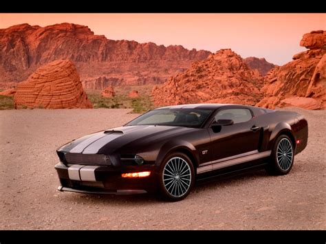 Mystang by rockstaralex24 on DeviantArt