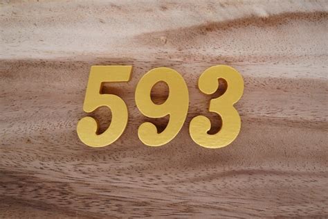 593 Billeder – Gennemse 588 stockfotos, vektorer og videoer | Adobe Stock