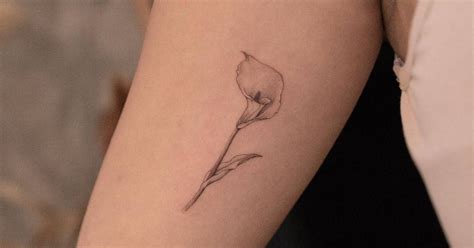 Tivas | Tattoofilter