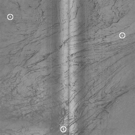 Examples of SLAR images from our dataset showing oil spills (marked ...