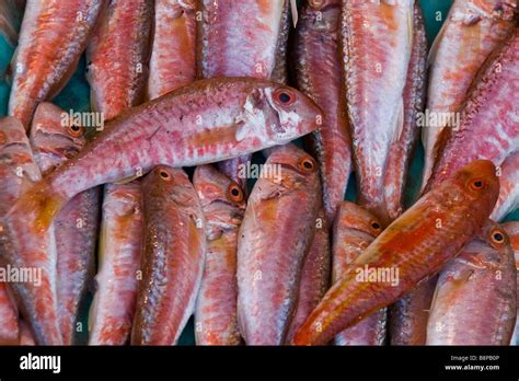 Bosphorus fish market hi-res stock photography and images - Alamy