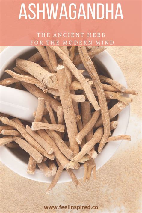 Ashwagandha. The ancient herb for the modern mind. | Ashwagandha ...