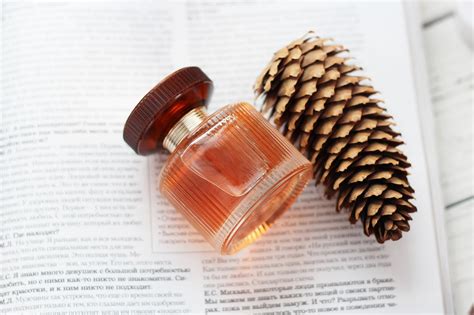 Парфюмерная вода Amber Elixir — www.gronskaya.com