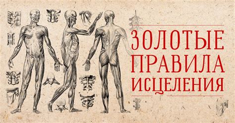 Исцели себя сам