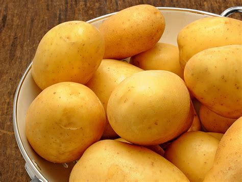 Brambory Marabel - vše o odrůdě - TopDen.cz