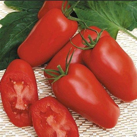 Томат Гаспачо F1 (Elit Plant-Breeding) • СВеточки
