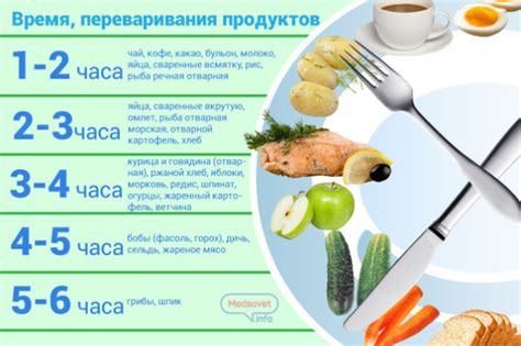 Последовательность процессов переваривания пищи