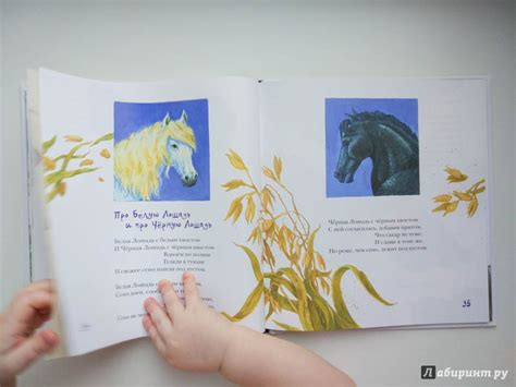 Книга: Про осьминога - Рената Муха. Купить книгу, читать рецензии ...