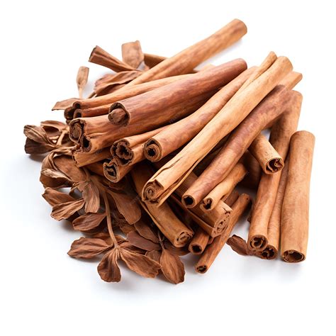Premium AI Image | Isolated of Cinnamomum Cassia Type of Herb Cassia ...