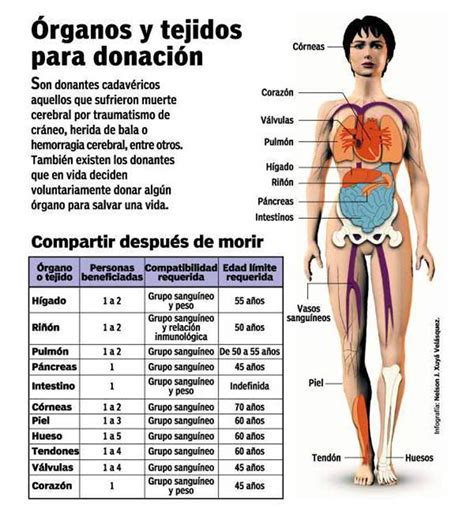 Órganos y tejidos para donación - INVDES