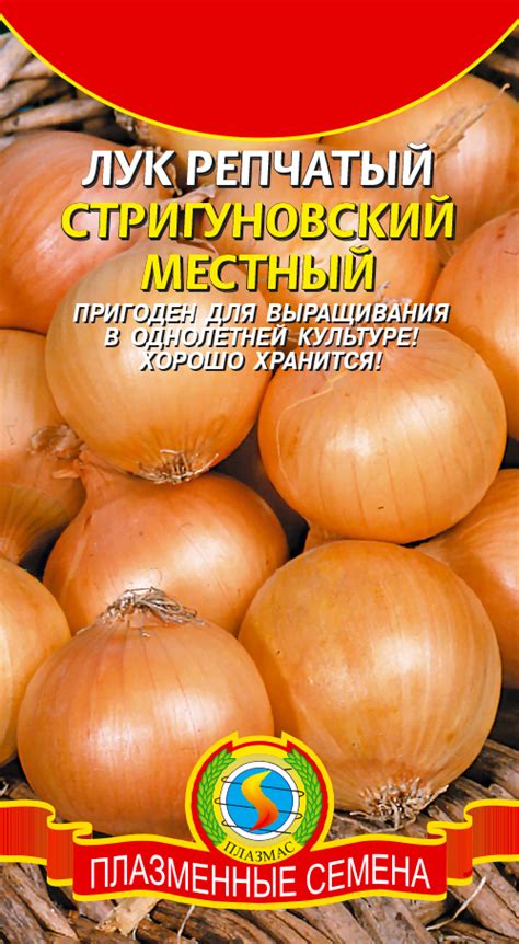 Лук Стригуновский Фото – Telegraph