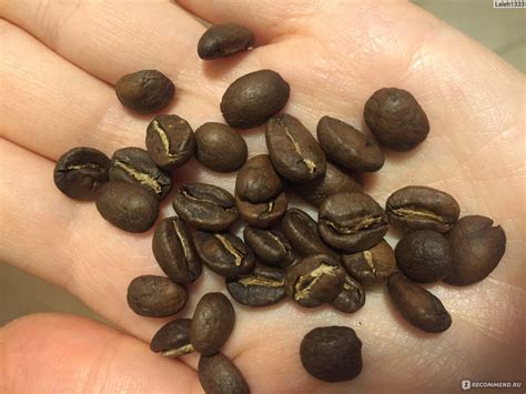 Кофе молотый Mt. Whitney Coffee Roasters Органический перуанский ...