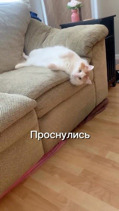 Привет 6-ти дневняя рабочая неделя 😄 #понедельник #любимаяработа #жизнь ...