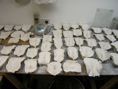 'The Great Wall Of Vagina' Is, Well, A Great Wall Of Vaginas (NSFW ...