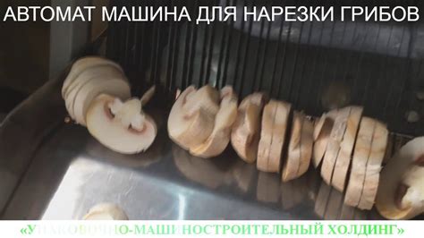 АВТОМАТ МАШИНА ДЛЯ НАРЕЗКИ ГРИБОВ, ЛУКА, ОГУРЦОВ, ПОМИДОРОВ, ПЕТРУШКИ И ...