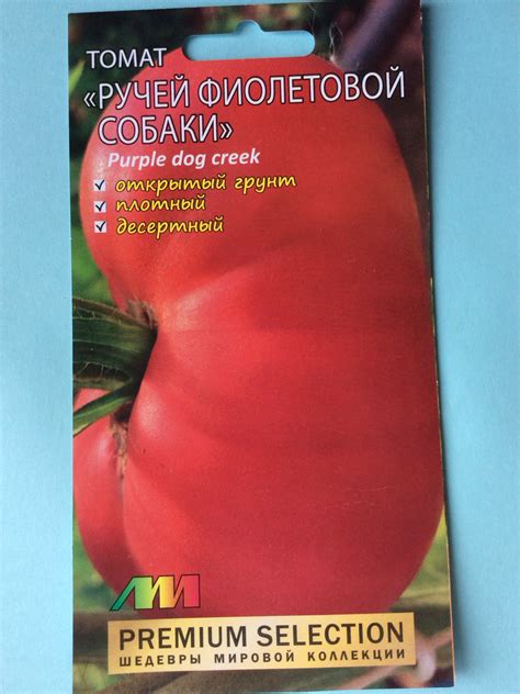 Отзыв о томате Ручей фиолетовой собаки. | Дачница Подмосковья | Дзен