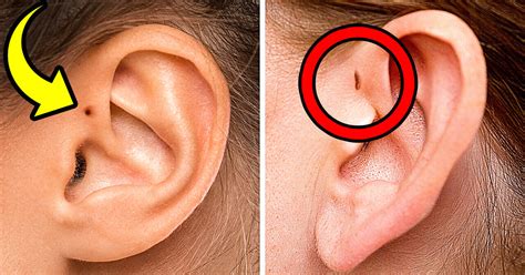 Ваши уши расскажут о том, насколько вы необычный человек + 10 ...