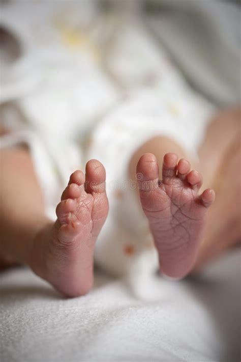 ноги младенца newborn стоковое фото. изображение насчитывающей ...